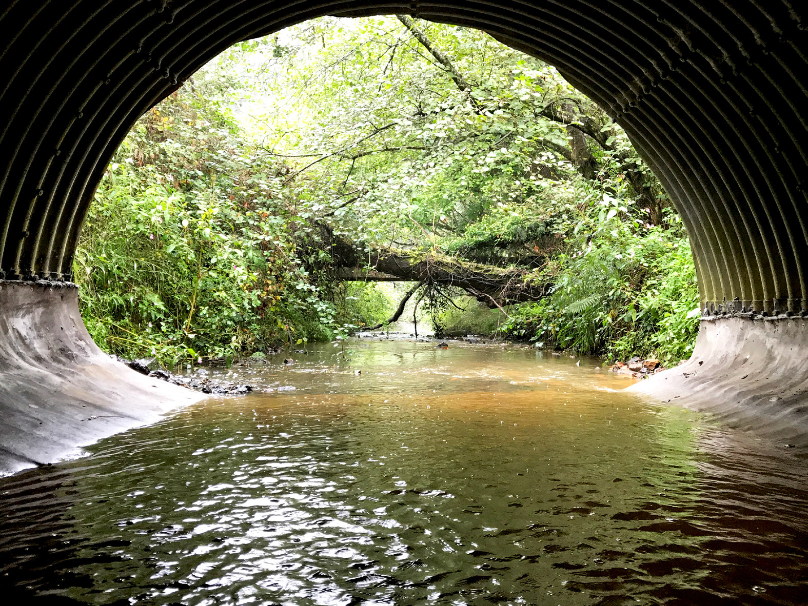 Culvert Lining - Concrete Canvas